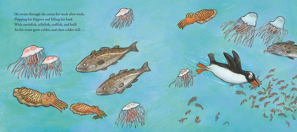 Jonty Gentoo: The Adventures of a Penguin by Donaldson & Scheffler ...