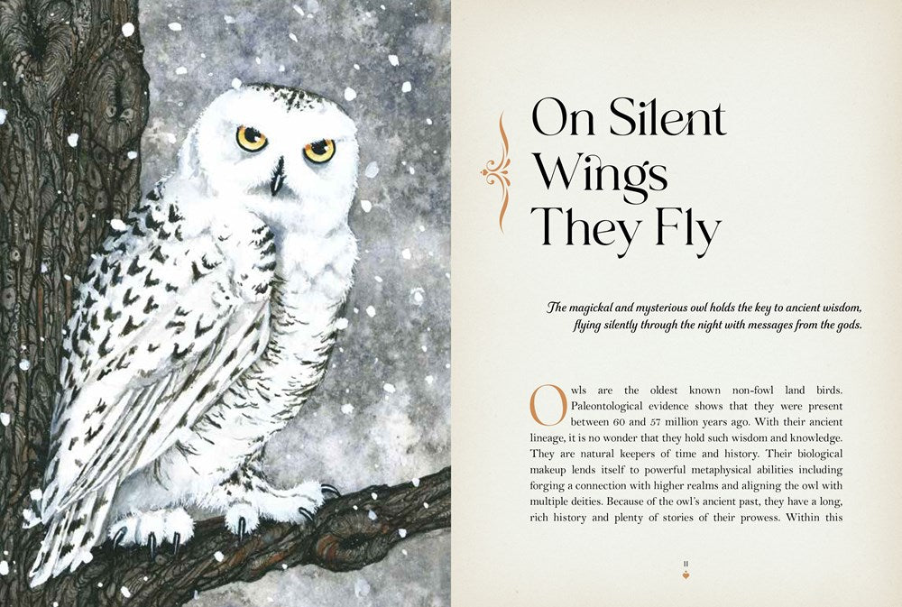 Owl Magick: Explore Our Fascinating Connections with These Birds Throu ...