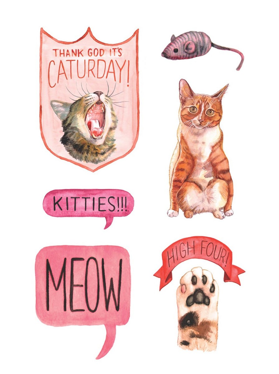 The Cat's Meow Sticker Book: 100+ Stickers of Fluffy, Feisty, and Fabu ...