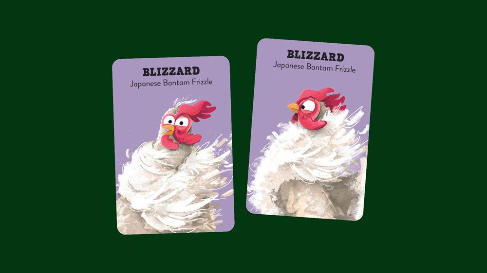Who Flew the Coop?: An Egg-cellent Card Game: Can you find the missing ...