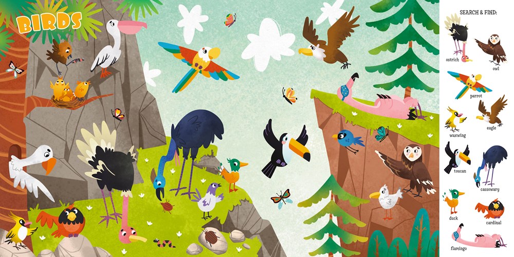 My First Search & Find: Animals – Maggie Mae's Bookshop