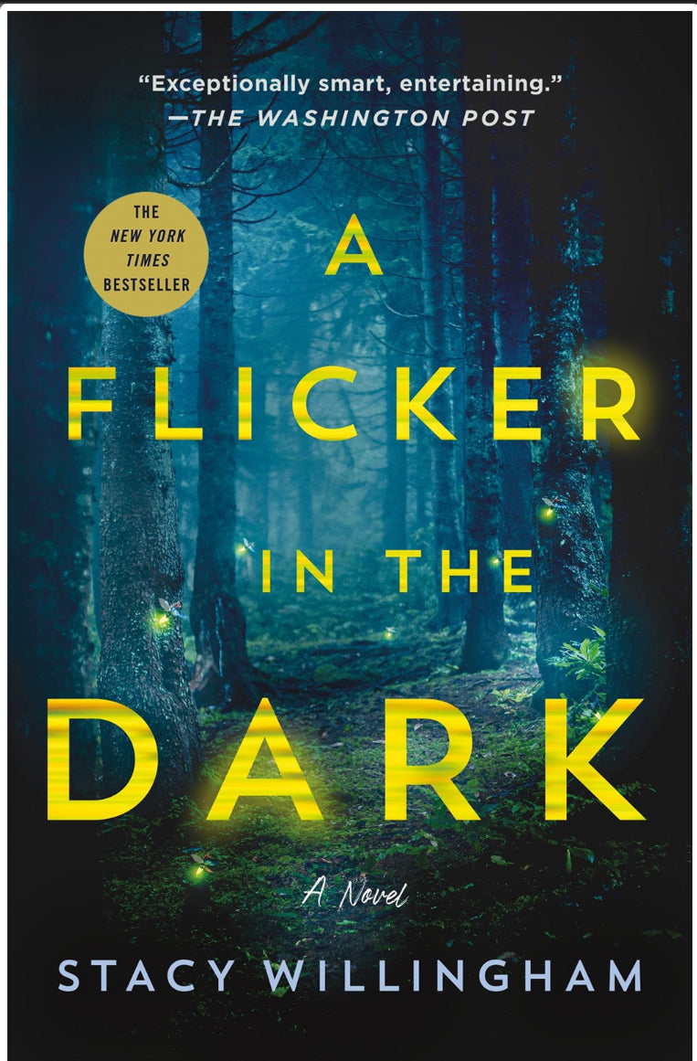 A Flicker in the Dark by Willingham – Maggie Mae's Bookshop